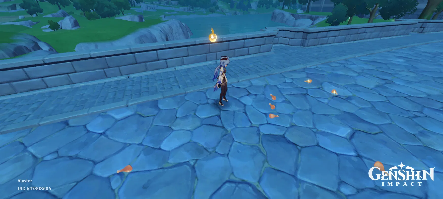 Omg Coco goat is the best Genshin Impact | HoYoLAB