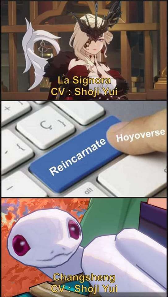 technically Signora banner Genshin Impact | HoYoLAB