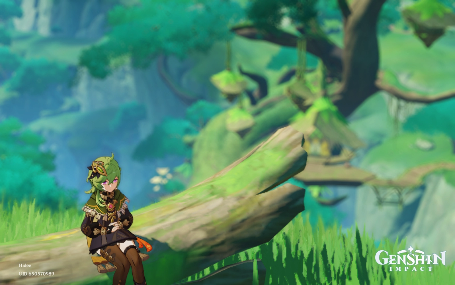 Happy Birthday Collie! Genshin Impact | HoYoLAB