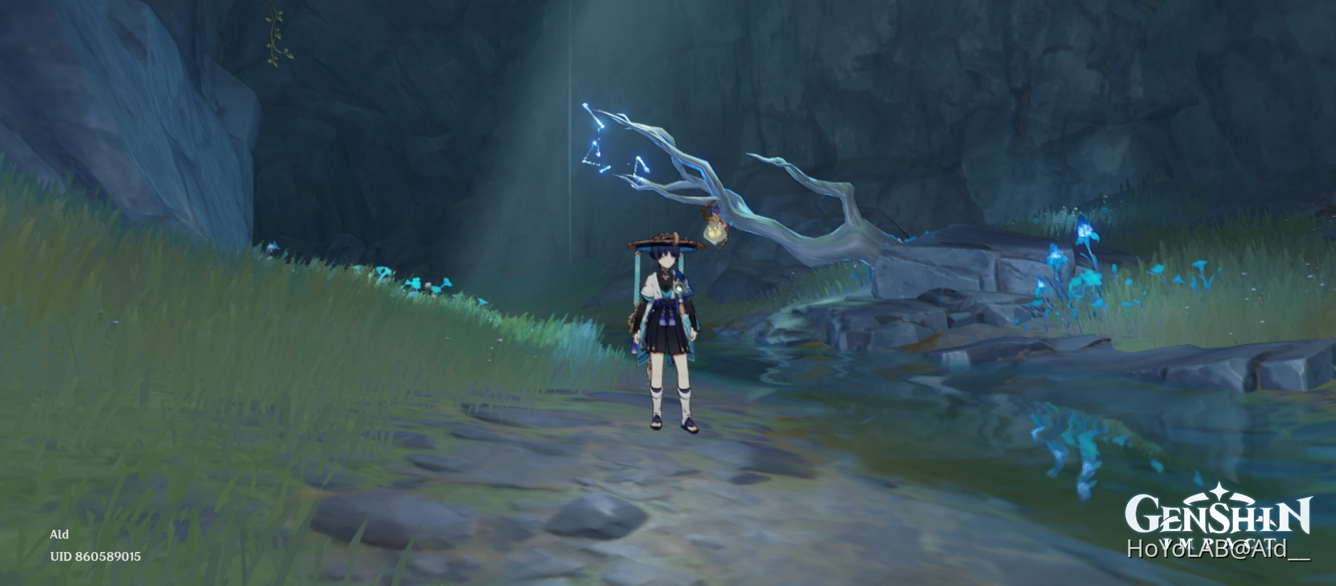 Root of Irminsul Genshin Impact | HoYoLAB