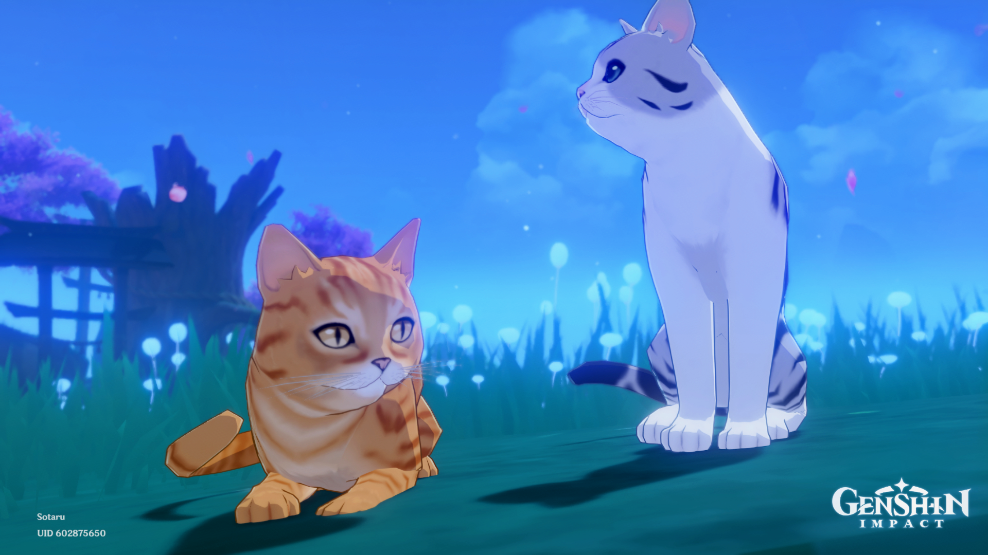 Oh my goshness kitty cats! Genshin Impact | HoYoLAB