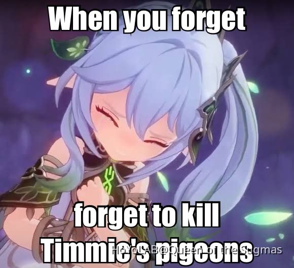 All my Timmie Memes compiled Genshin Impact | HoYoLAB