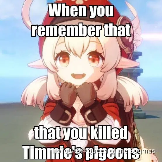 All my Timmie Memes compiled Genshin Impact | HoYoLAB