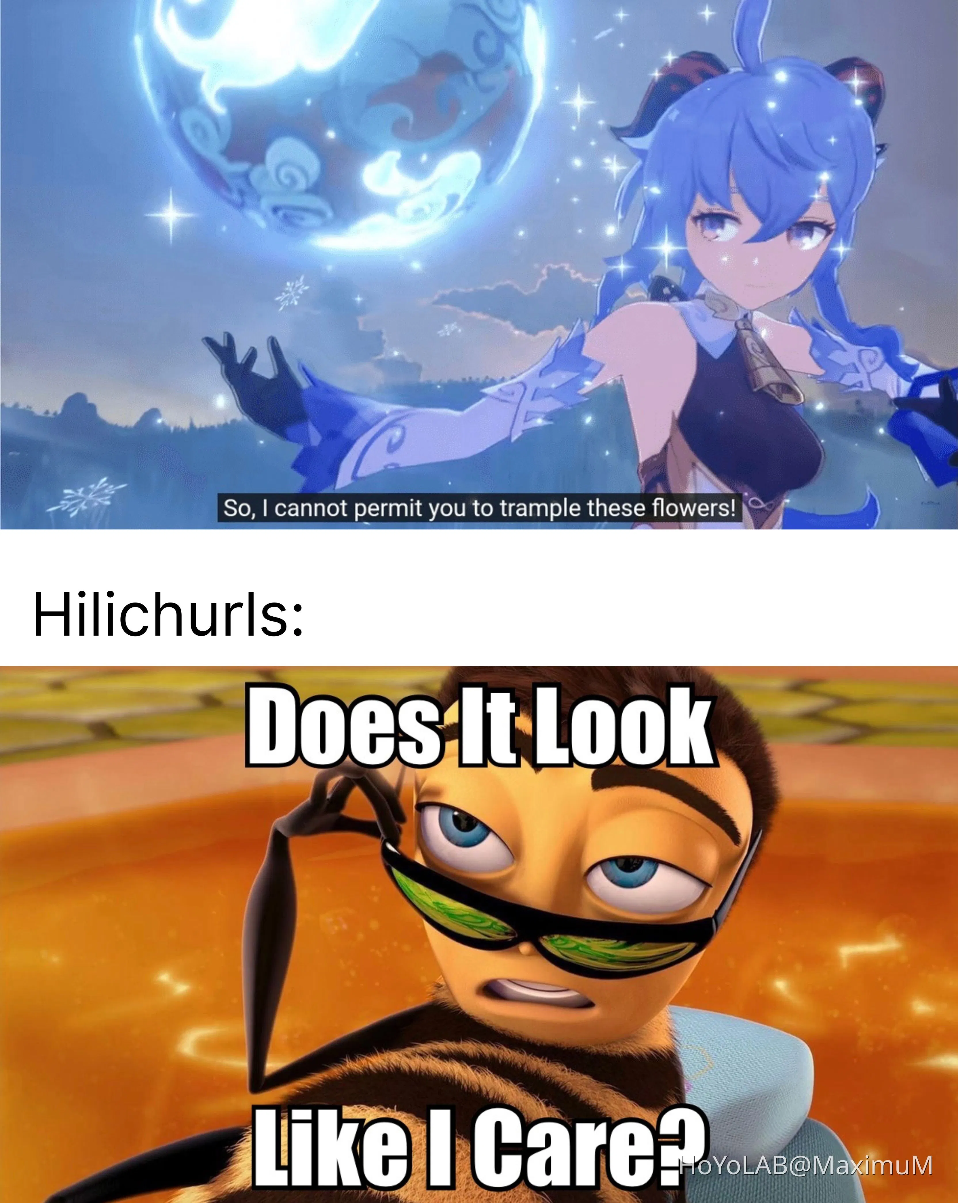 Ganyu meme Genshin Impact | HoYoLAB