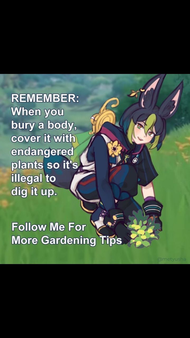 Random Genshin Memes Genshin Impact | HoYoLAB