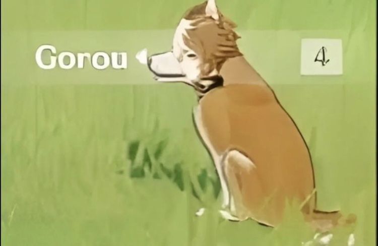 Gorou Meme: Genshin Impact | HoYoLAB
