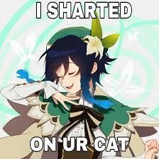 Memes i stole from hoyolab (little kitty!) Genshin Impact | HoYoLAB