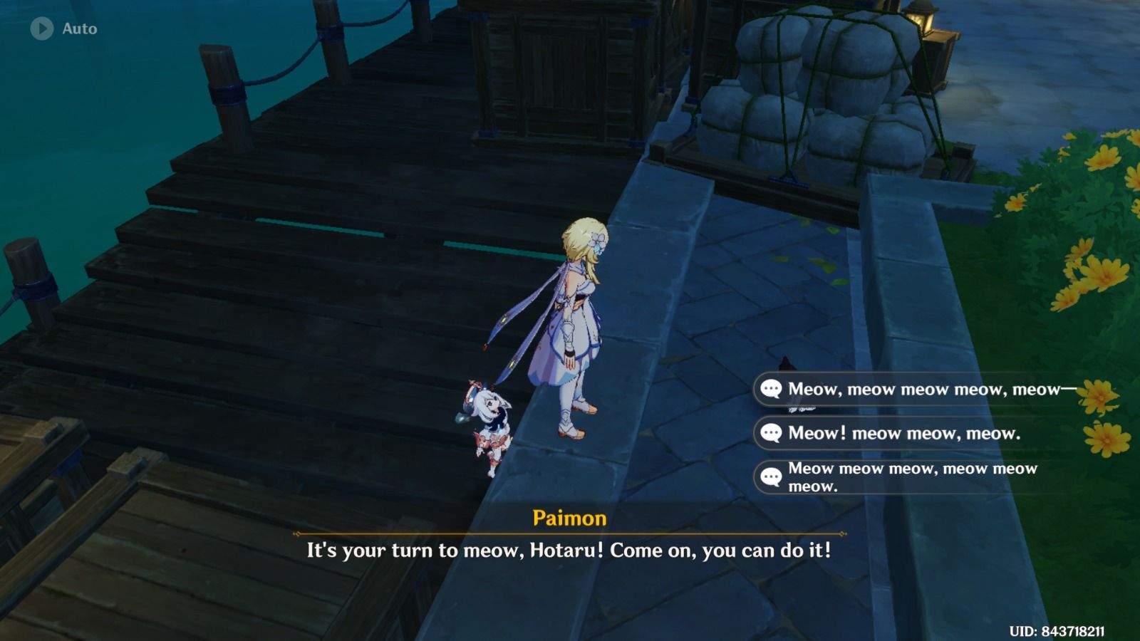 Paimon Genshin Impact | HoYoLAB