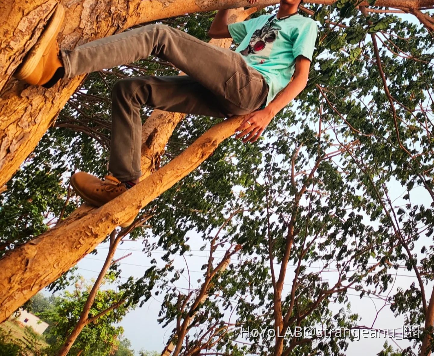 Yep I can KEEP climbing trees if u were wondering....lmao | HoYoLAB