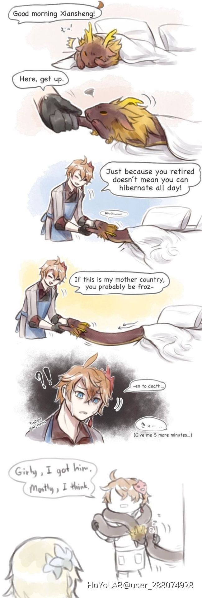 Memes Genshin Impact | HoYoLAB