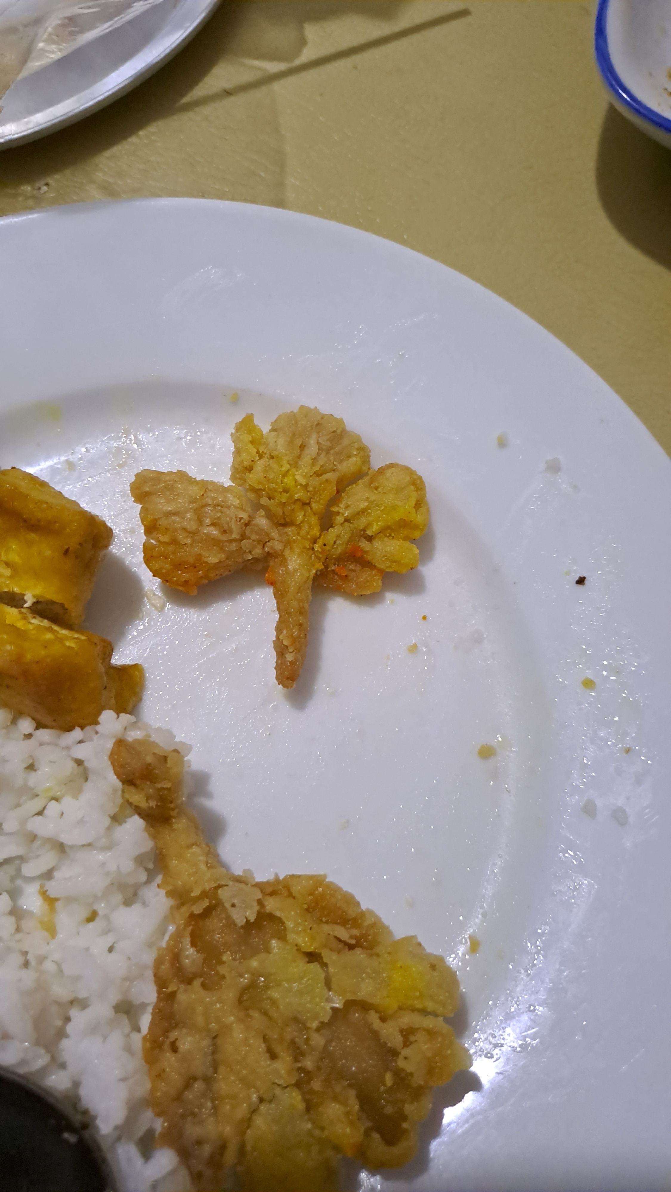 Fried Sorush Genshin Impact | HoYoLAB