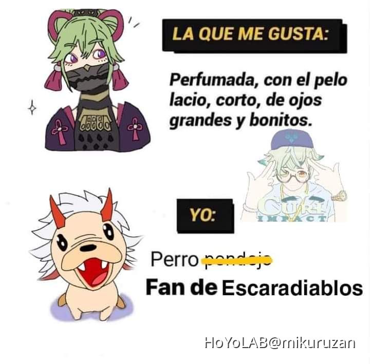 CuriMomos Genshin Impact | HoYoLAB