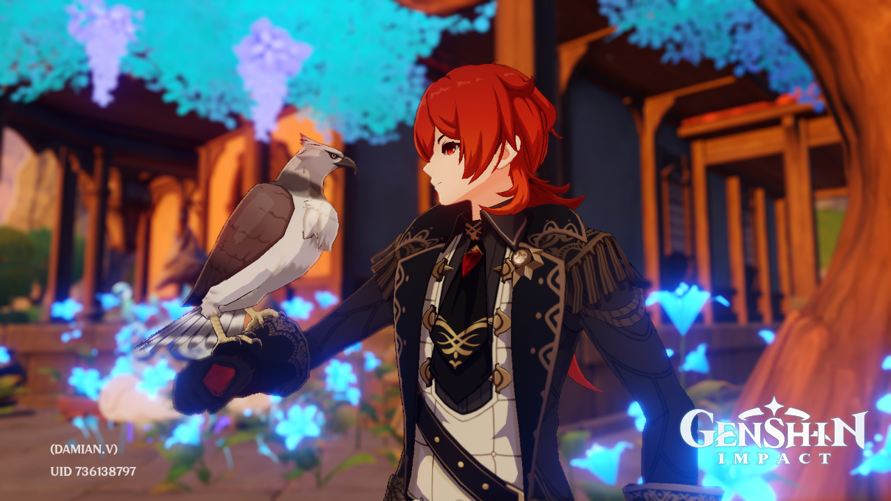 Diluke's pet eagle =o Genshin Impact | HoYoLAB