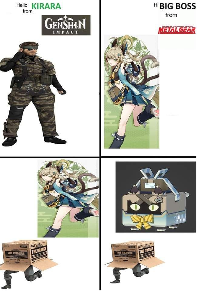 Another day Another memes Hoyo: can I copy your homework EA: sure but ...