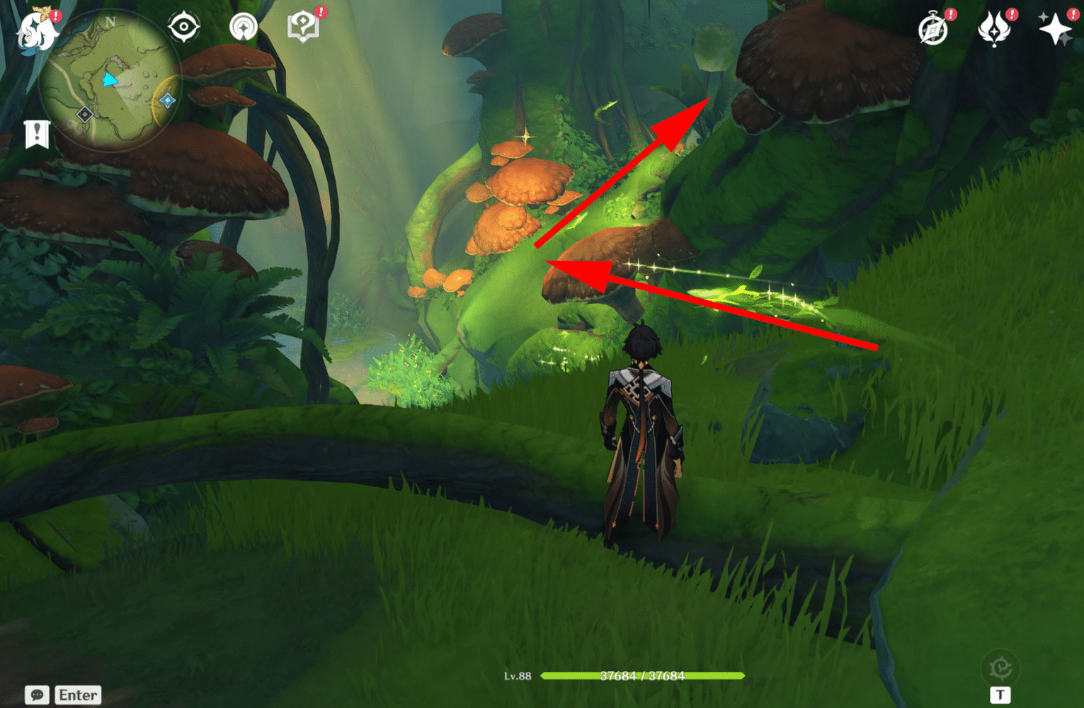 Aranyaka Part I: [Woodland Encounter] Quest Guide Genshin Impact | HoYoLAB