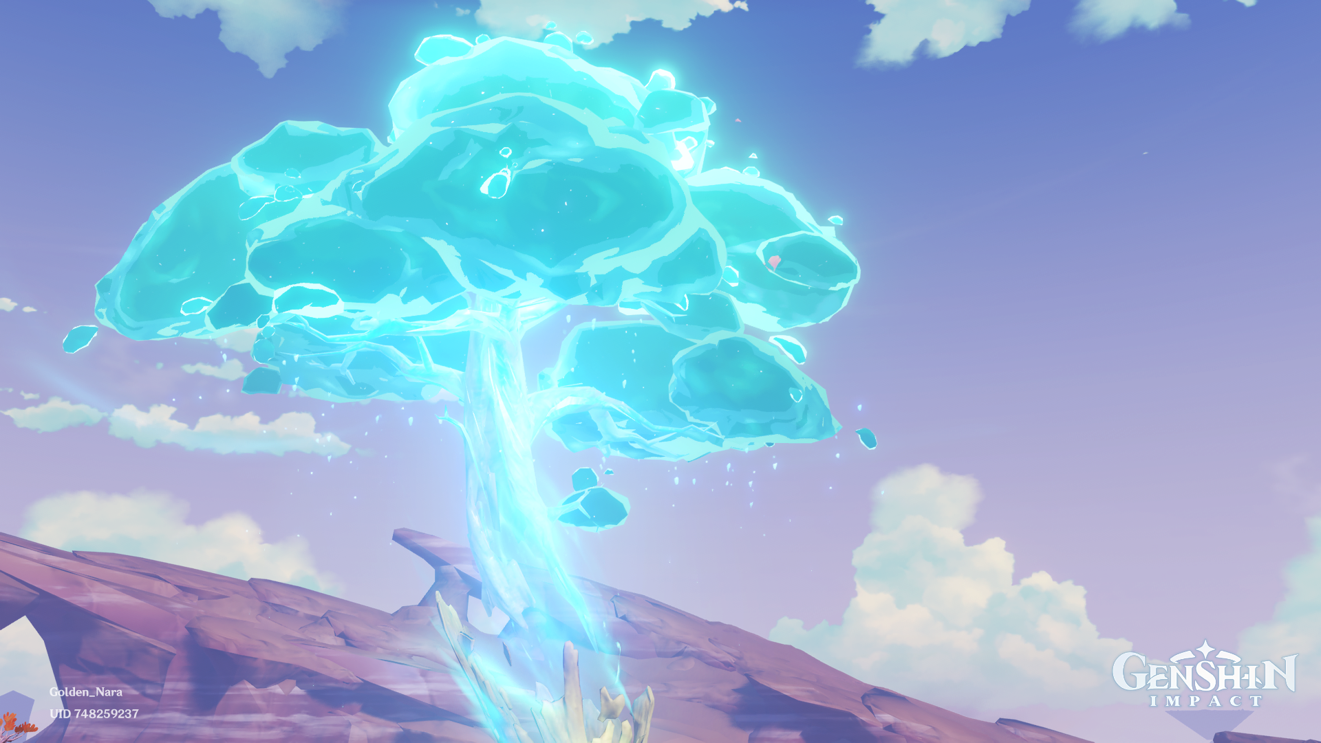 one of the Best trees in the game Genshin Impact | HoYoLAB