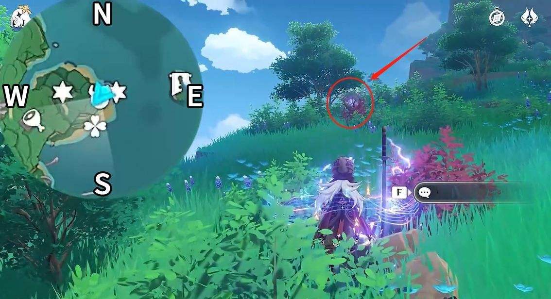 Inazuma Chest Collection Guide 12 – Nazuchi Beach (#250-276) Genshin ...