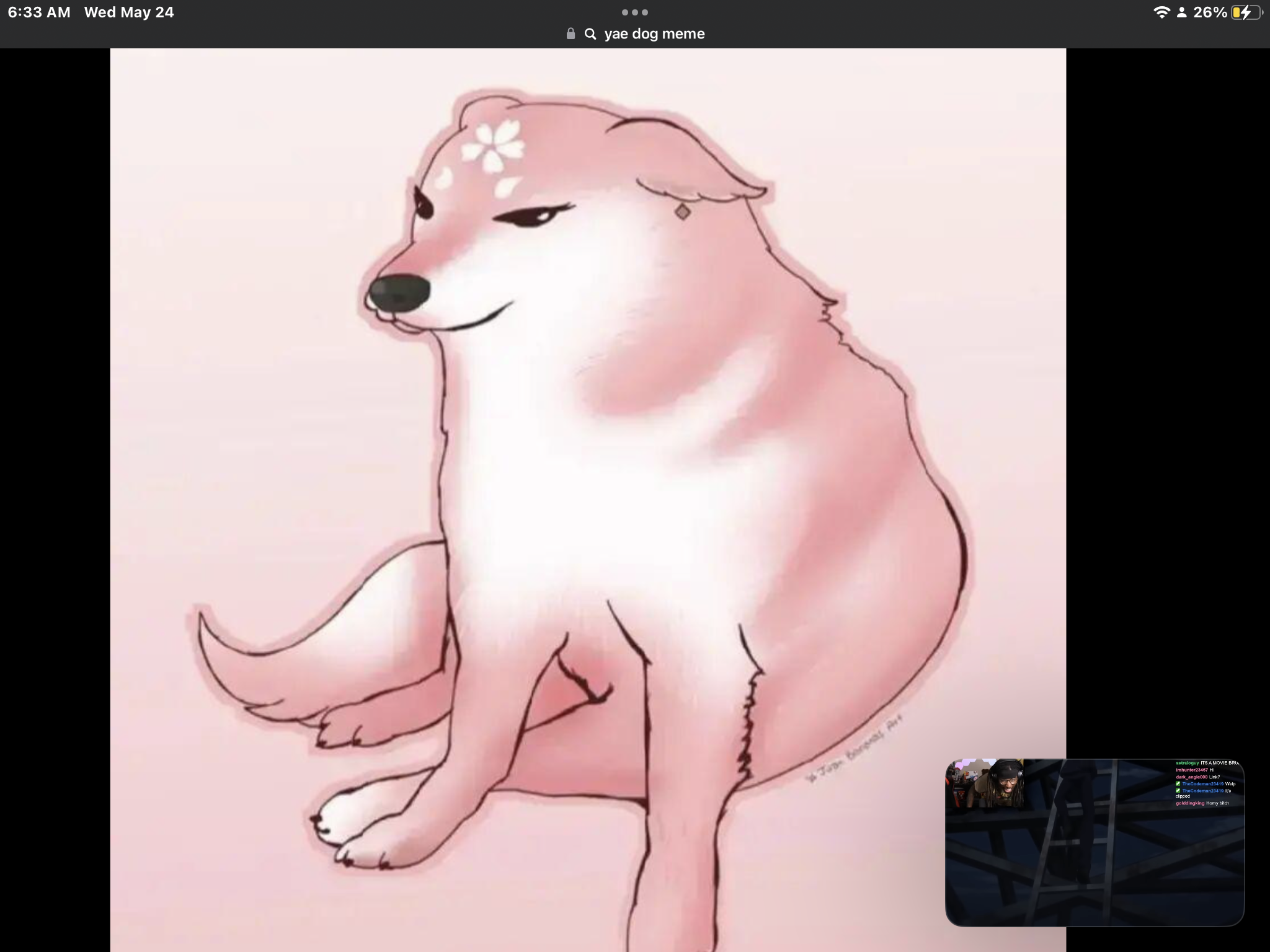 Yae dog meme,meme of the day pt 2 Genshin Impact | HoYoLAB