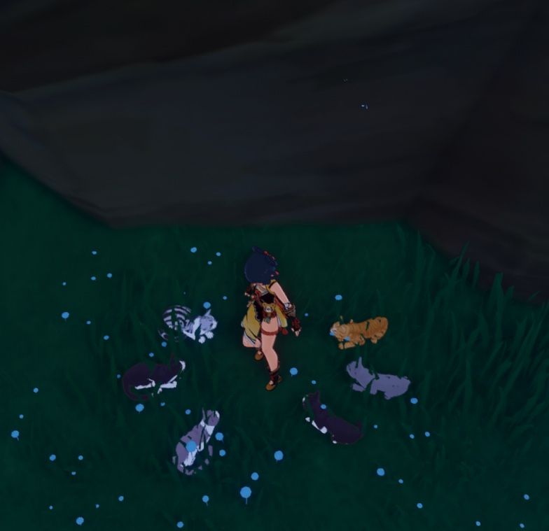 Heh cats Genshin Impact | HoYoLAB