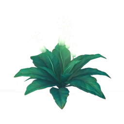 List of Flowers in Teyvat Genshin Impact | HoYoLAB