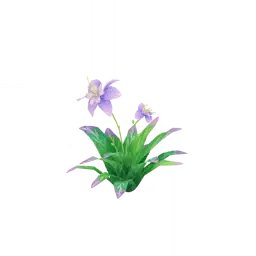 List of Flowers in Teyvat Genshin Impact | HoYoLAB