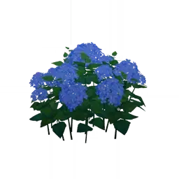 List of Flowers in Teyvat Genshin Impact | HoYoLAB