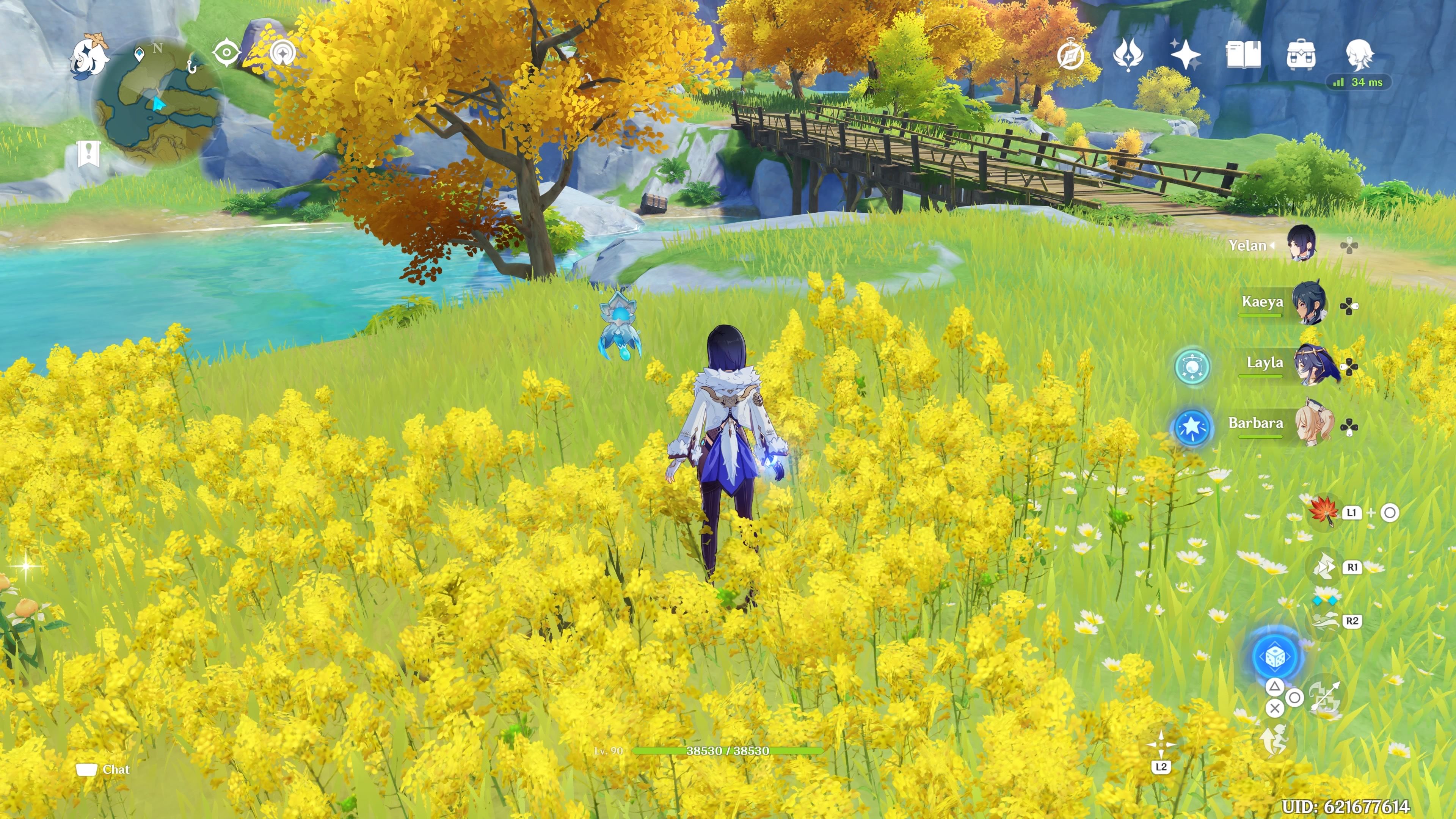 I come here every day to collect crystalflies…HOW HAVE I NOT SEEN THIS ...