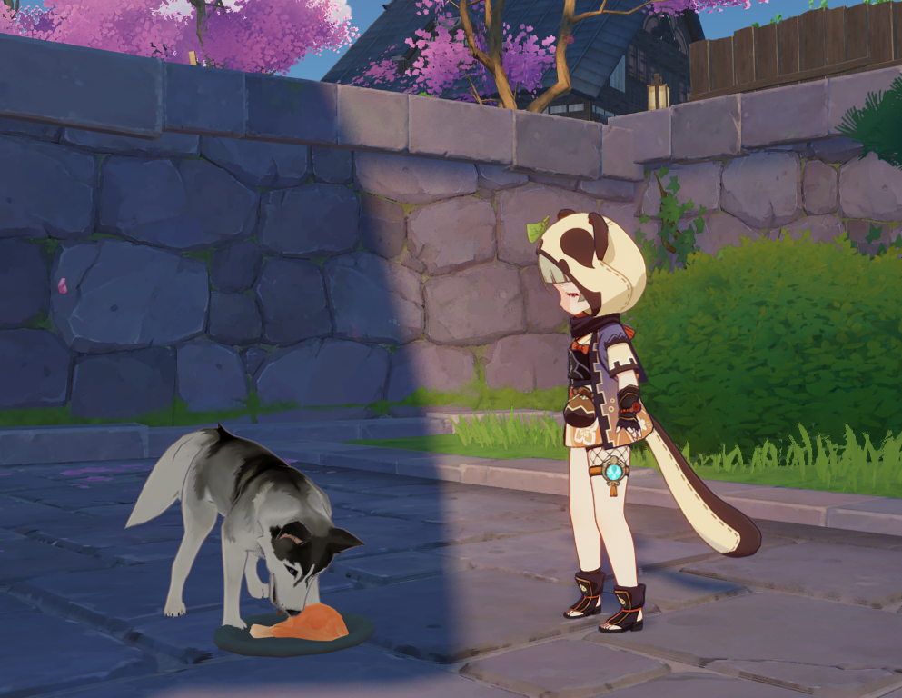 You can feed a dog! But when can we pet a dog? Genshin Impact | HoYoLAB