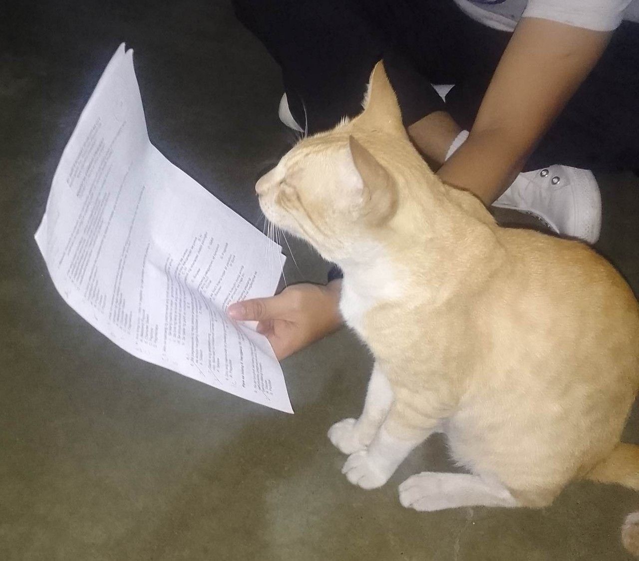 Me trying to understand artifacts when I first started the game ...