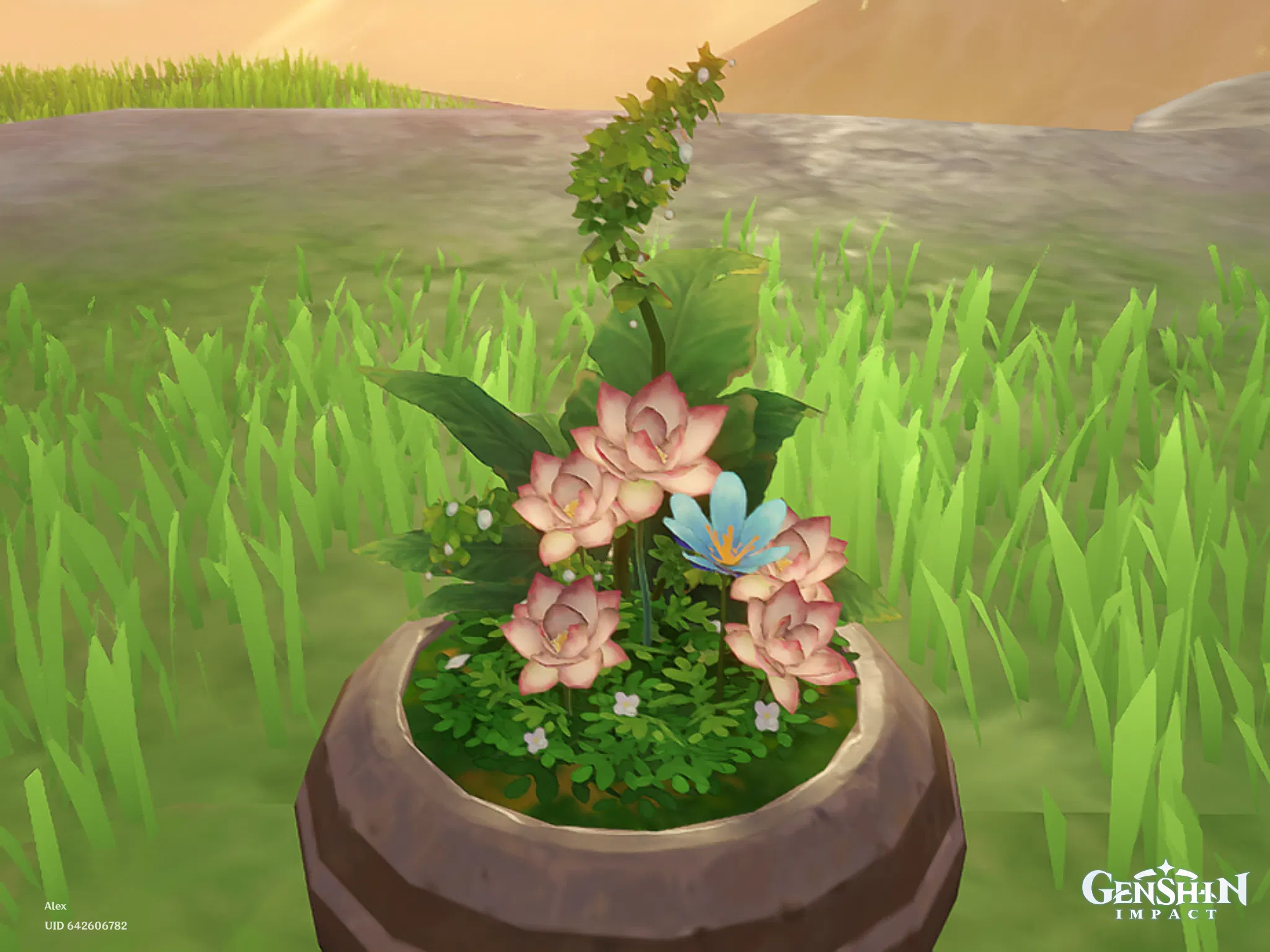 I made some floral arrangements 👉👈 Genshin Impact | HoYoLAB