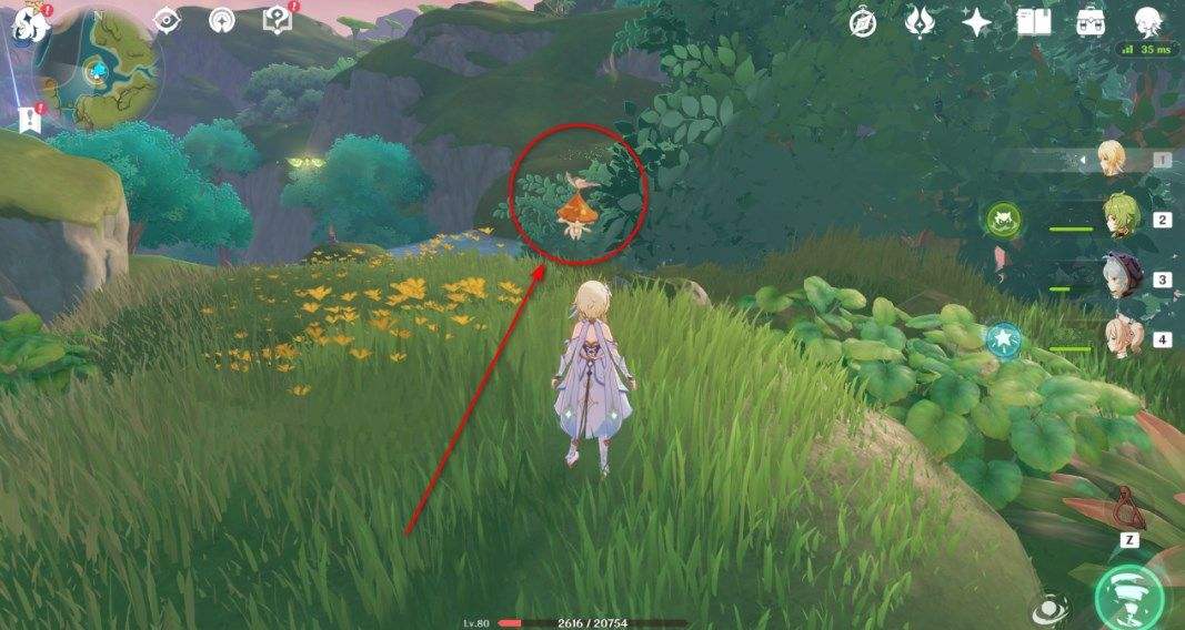 Misiones ocultas de Sumeru - Guía detallada de Los viejos amigos de ...