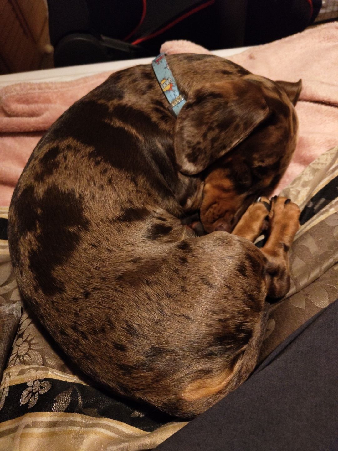 Here be the 900th post | HoYoLAB