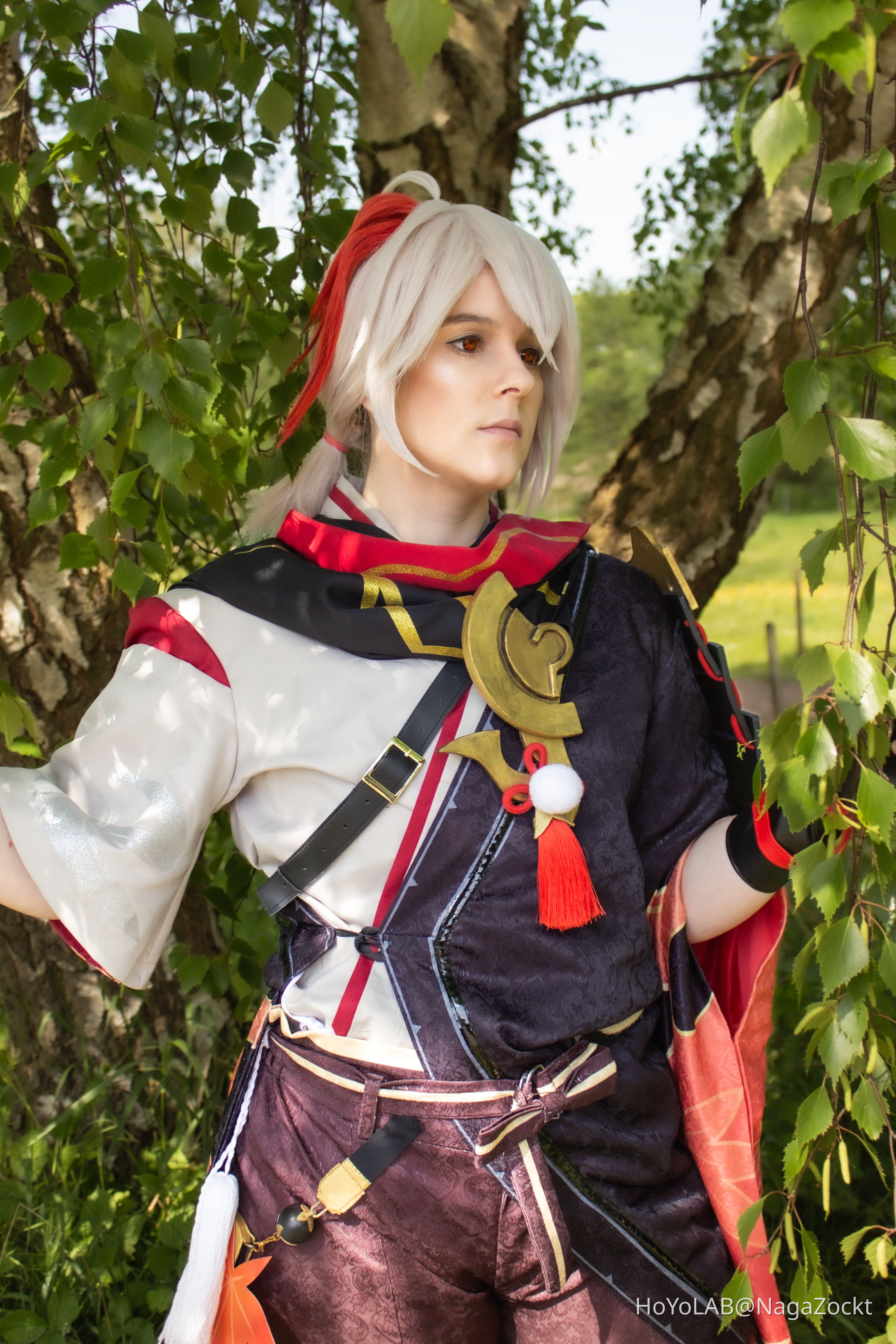 The wind knows me..🍃 Genshin Impact | HoYoLAB