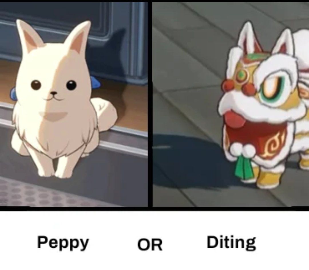 Peppy Or Diting As Your Pet? Honkai: Star Rail | HoYoLAB