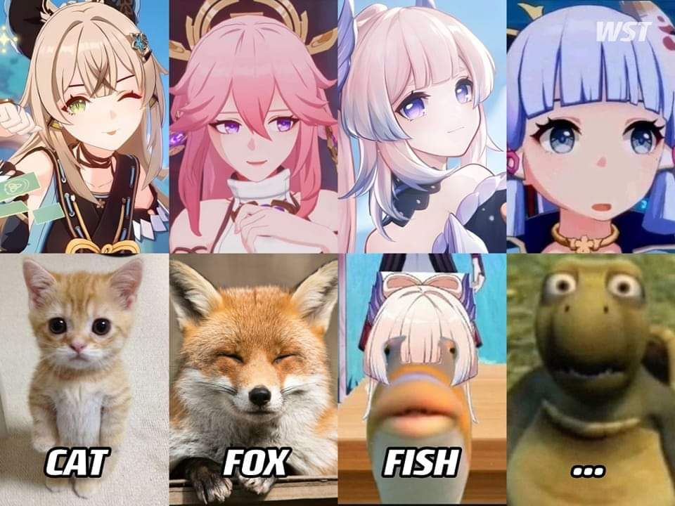 Kebun Binatang Inazuma Genshin Impact | HoYoLAB