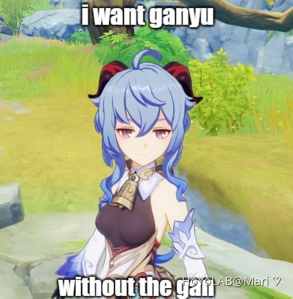 Genshin Rizz Memes 😰 Genshin Impact | HoYoLAB