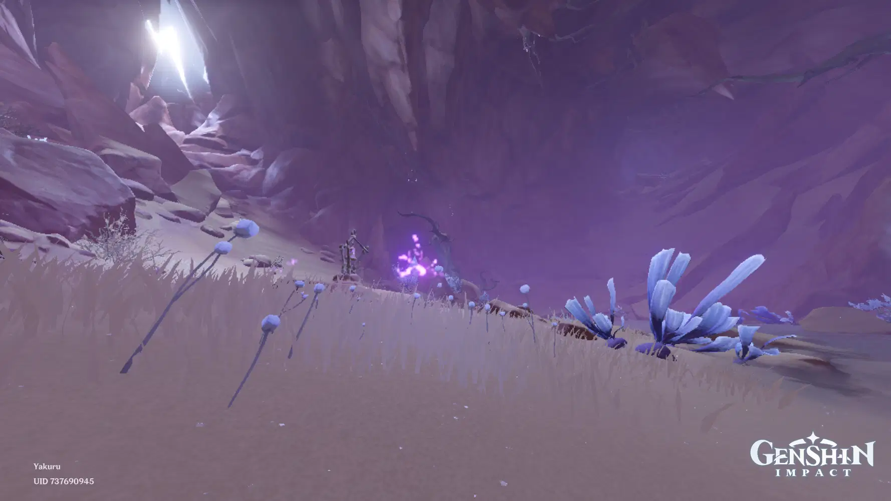 "electro soul bell" Temir Mountains north, underground Genshin Impact ...