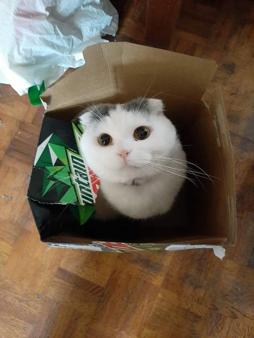 HoYoLAB - Official Community