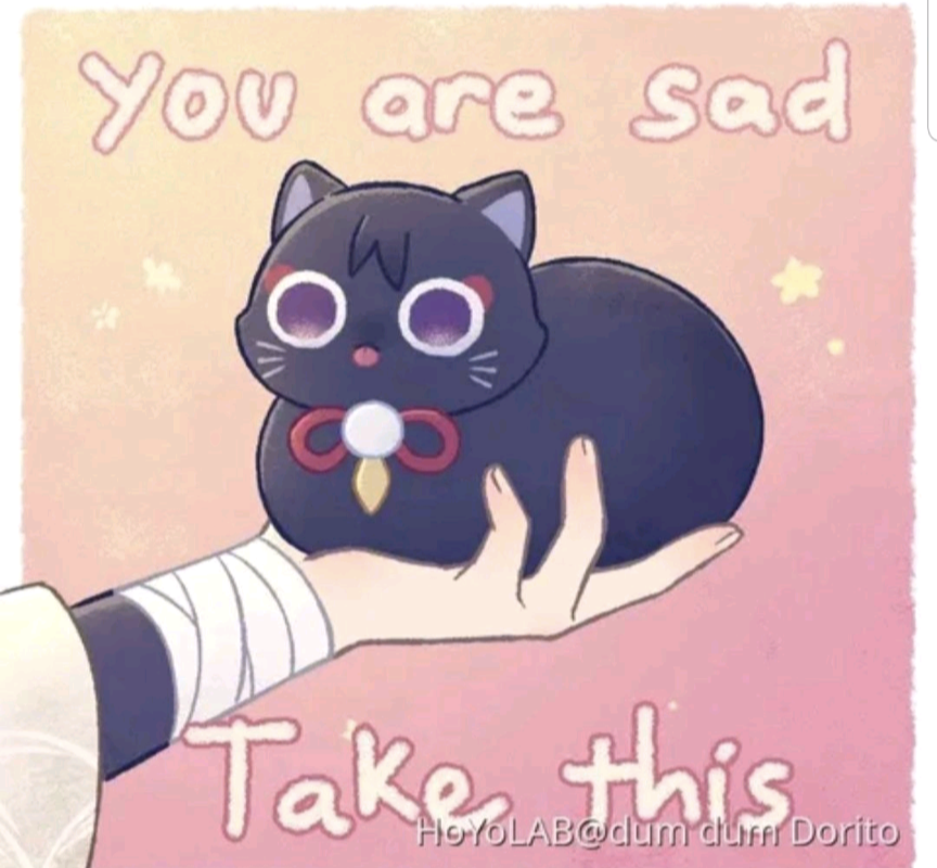 Little Scara Kitten (not mine) Genshin Impact | HoYoLAB