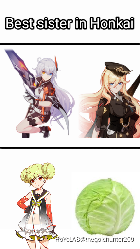 random Honkai impact meme Honkai Impact 3rd | HoYoLAB