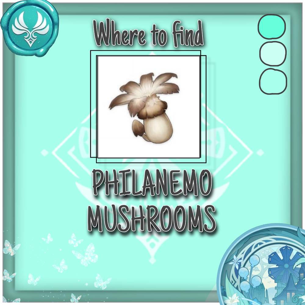(Where to get) Philanemo Mushrooms Farming Guide Genshin Impact | HoYoLAB