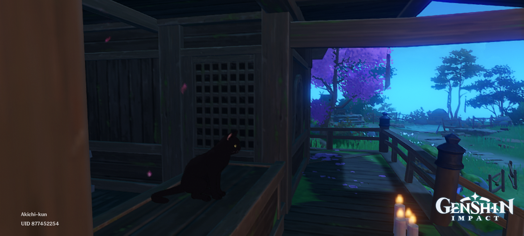 Hidden Quest Neko Narukami island Genshin Impact | HoYoLAB