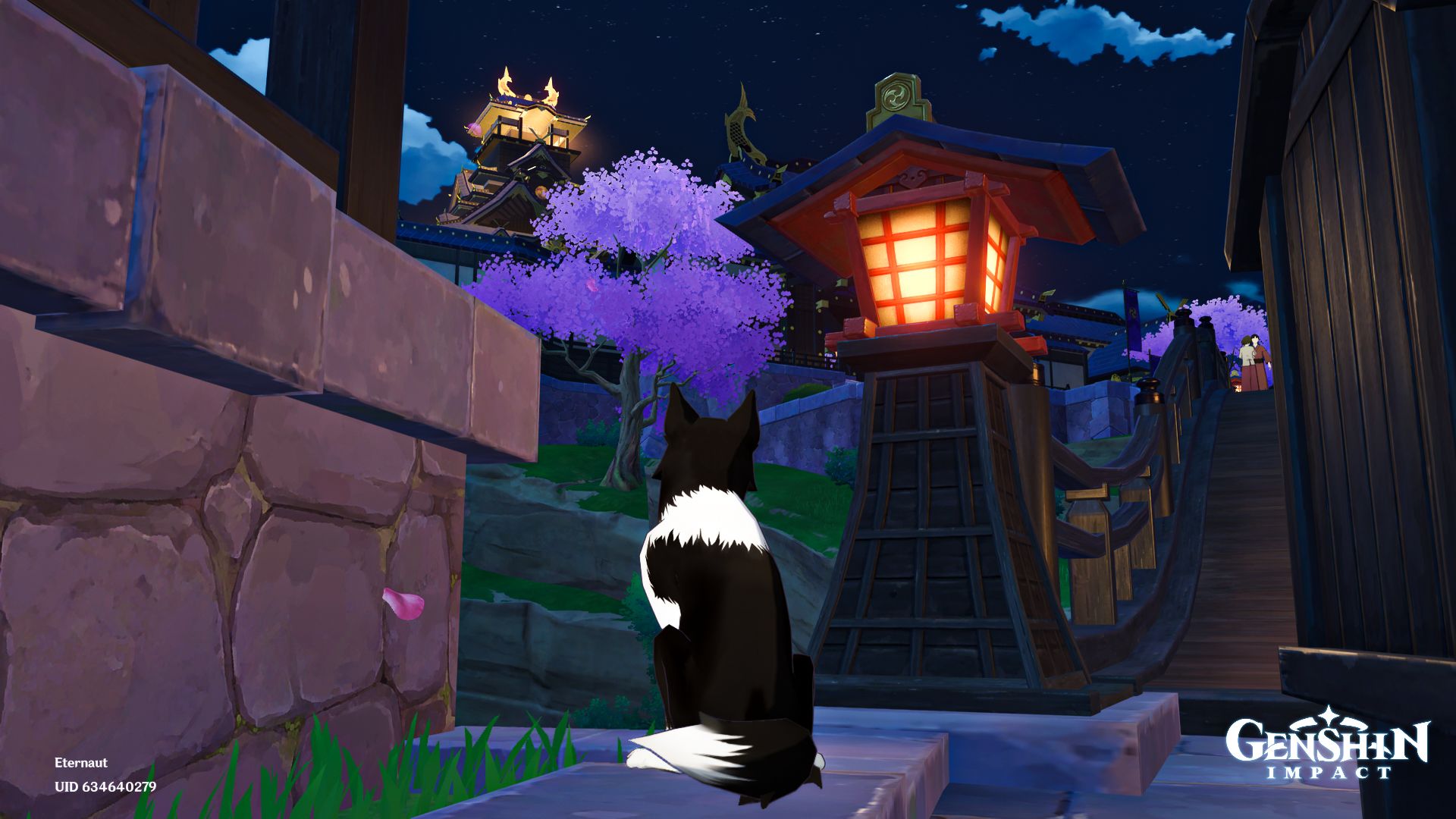 Inazuma Dog Genshin Impact | HoYoLAB