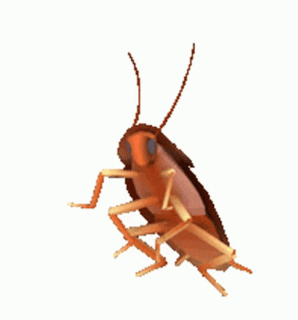 spin Genshin Impact | HoYoLAB