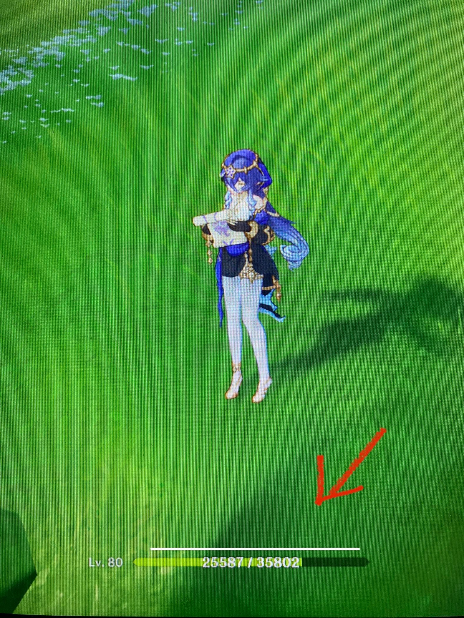 Shield HP bar Genshin Impact | HoYoLAB