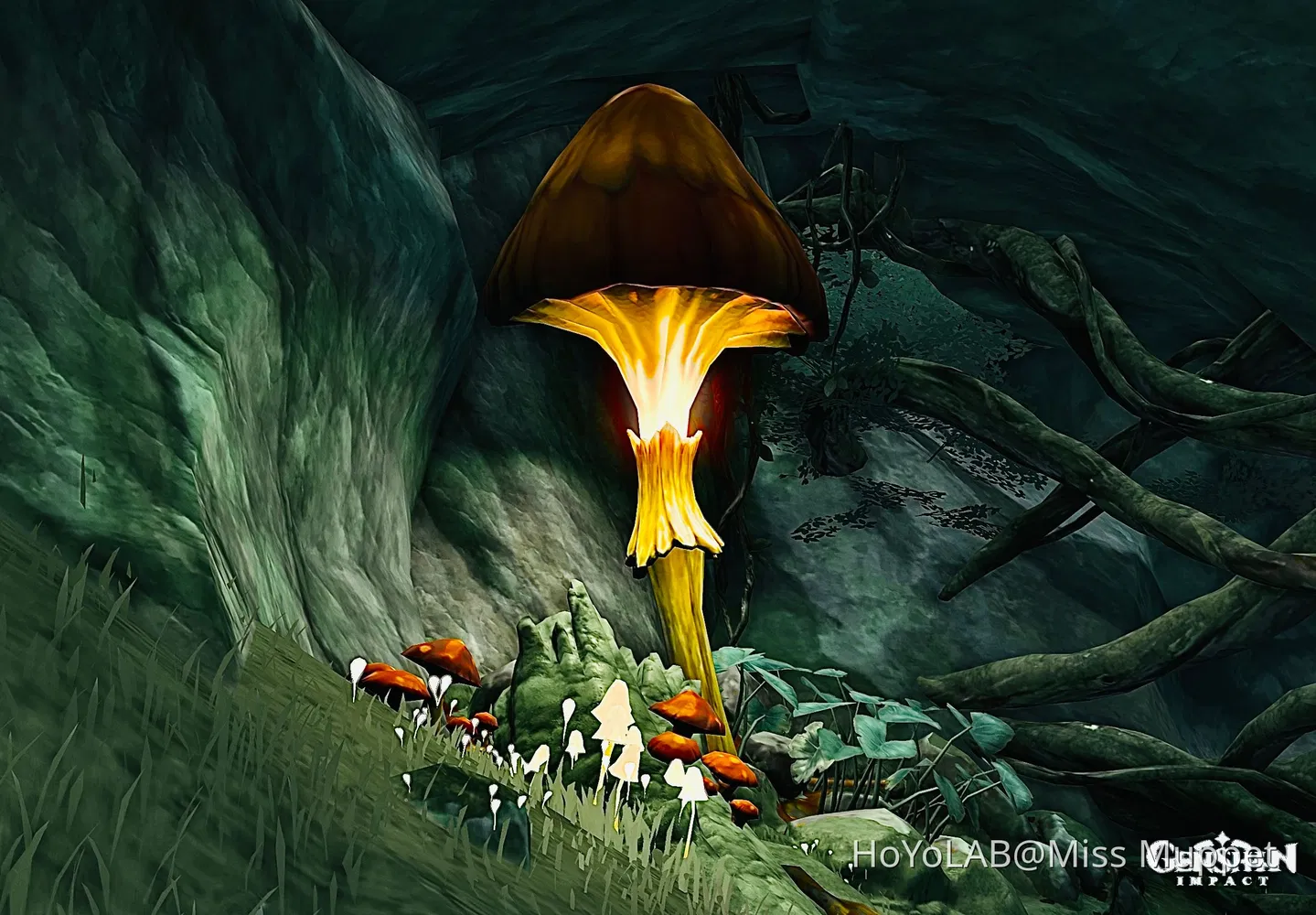 Sumeru mushroom Genshin Impact | HoYoLAB