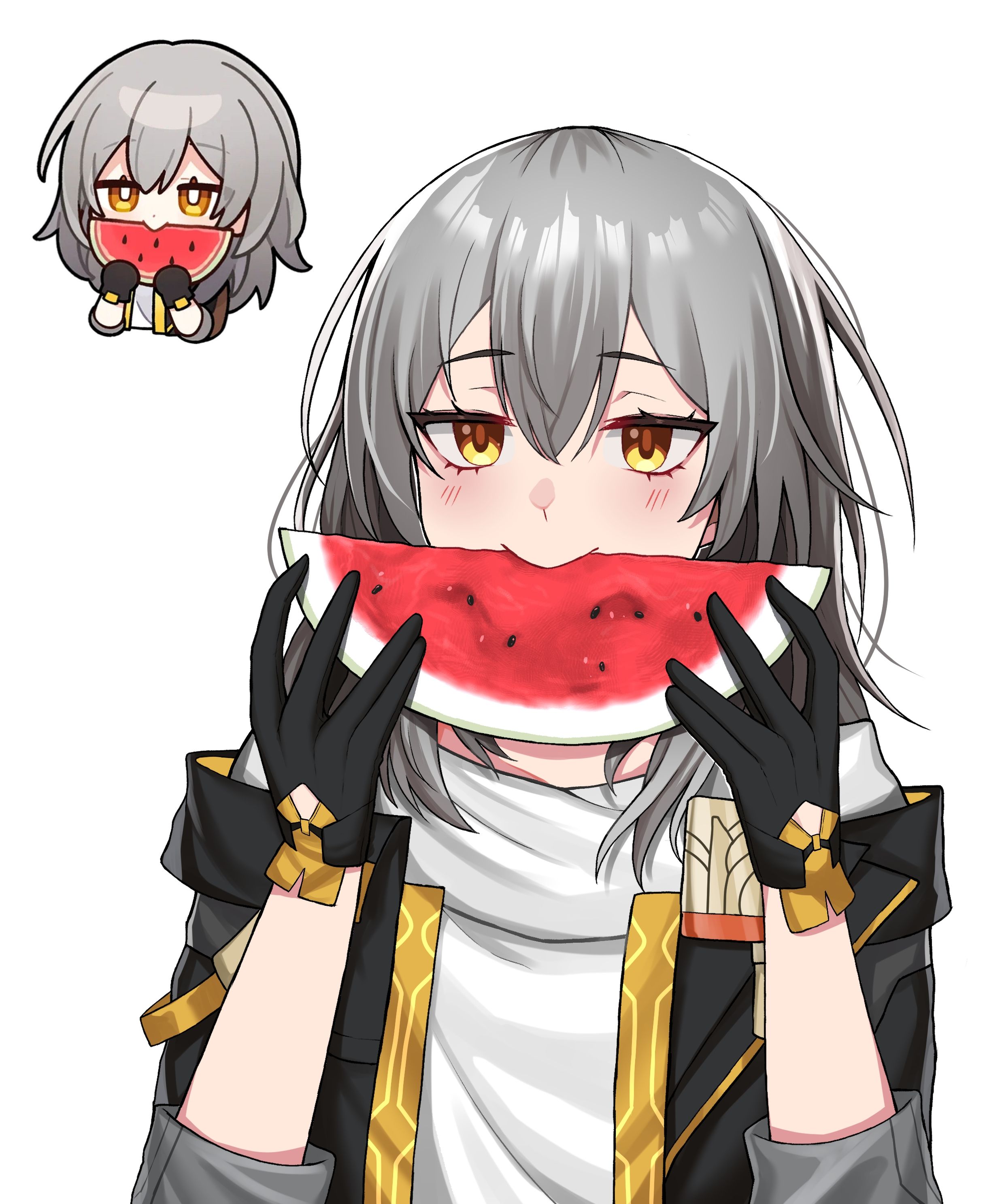 stelle watermelon Honkai: Star Rail | HoYoLAB