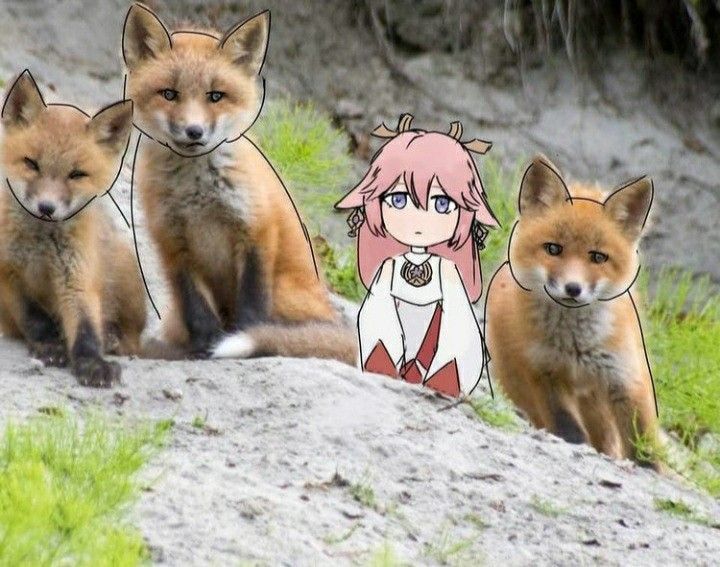 Día 7 de Yae. Algo que decir. Genshin Impact | HoYoLAB