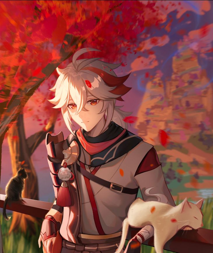 Kazu my love Genshin Impact | HoYoLAB