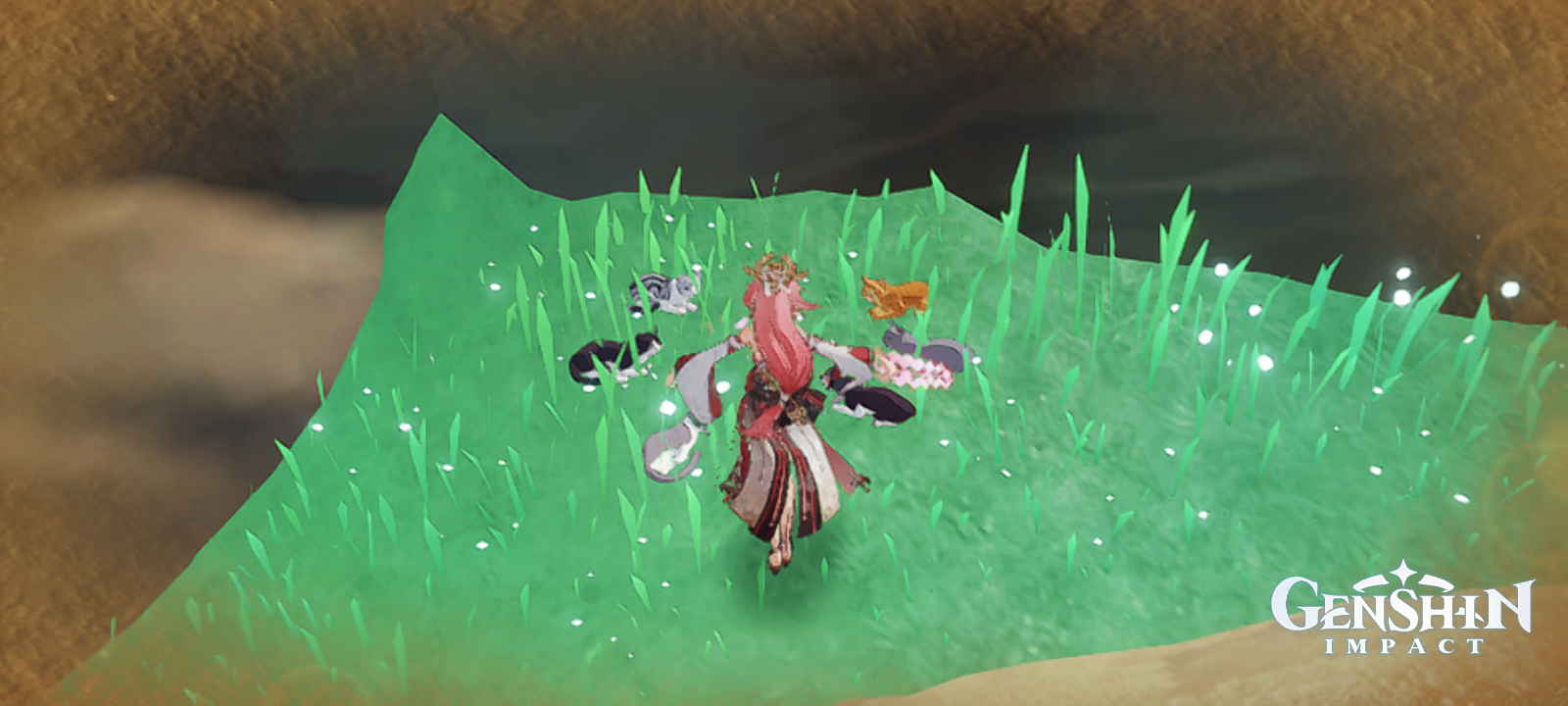 CAT'S RITUAL Genshin Impact | HoYoLAB